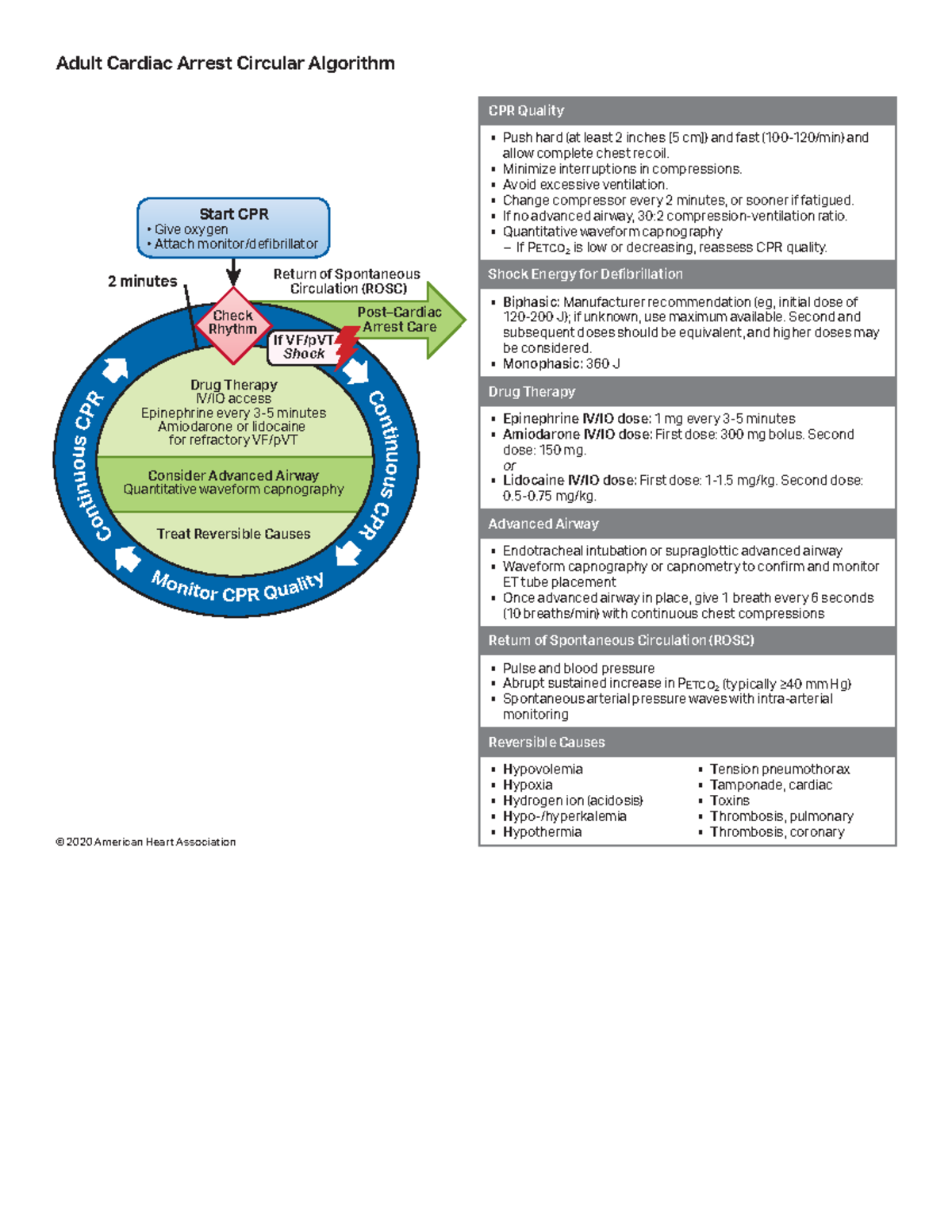 Algorithm ACLS Circle - © 2020 American Heart Association CPR Quality ...