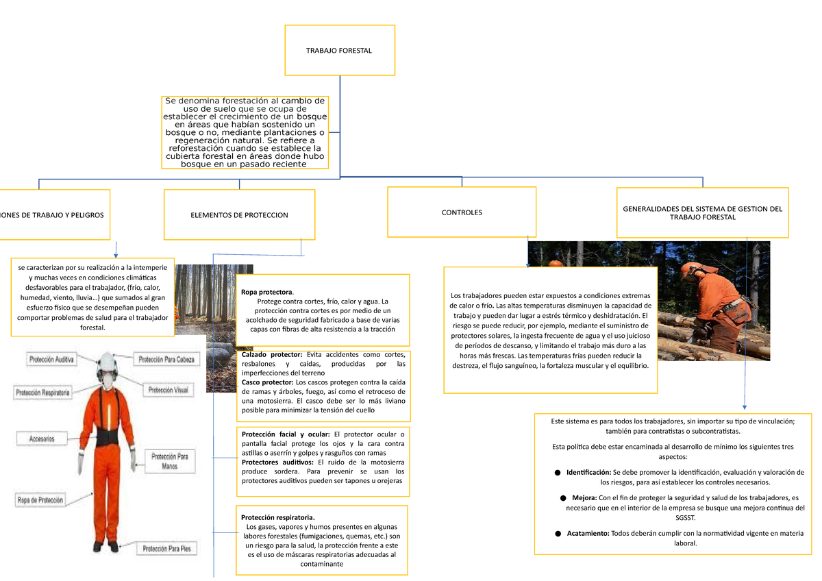 MAPA - IOHO - TRABAJO FORESTAL Y PELIGROS ELEMENTOS DE PROTECCION ...