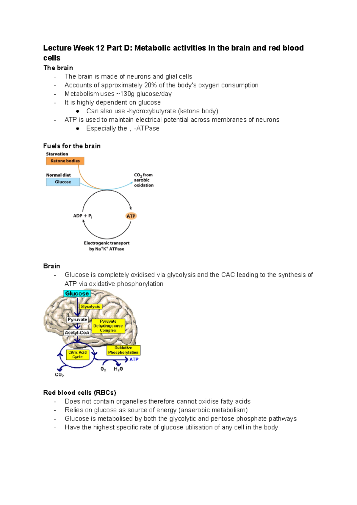 Lect week 12 part d - integration of metabolism - Lecture Week 12 Part ...