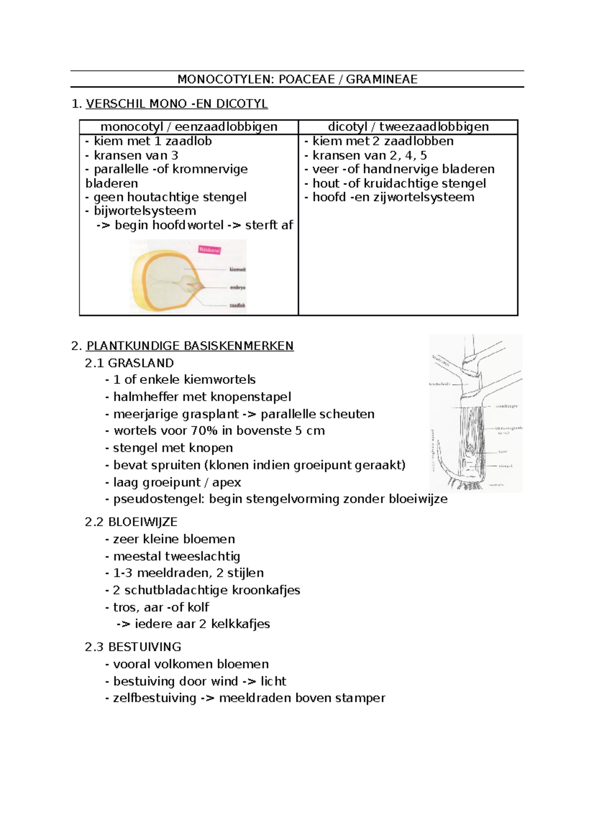 Plantkunde - samenvatting monocotylen - MONOCOTYLEN: POACEAE ...