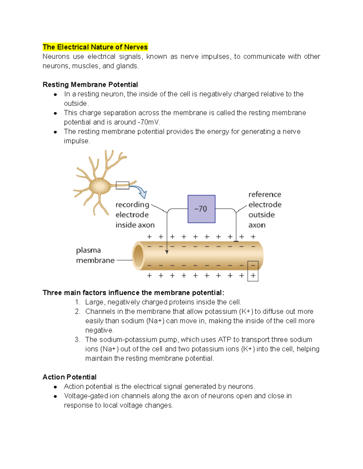 The Electrical Nature of Nerves - The Electrical Nature of Nerves ...