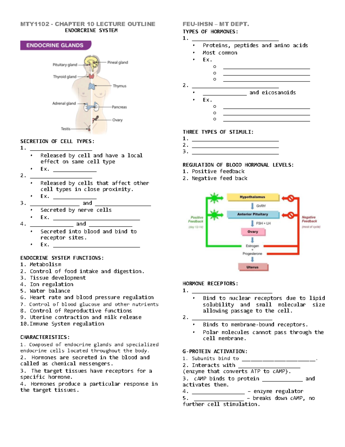 Chapter 10 - Endocrine System - MTY1102 - CHAPTER 10 LECTURE OUTLINE ...