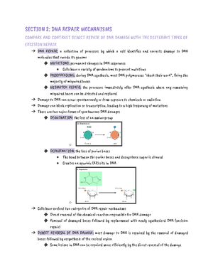 Chapter 7 - DNA Replication, Repair, and Maintenance - SEêãĆăN 3: æąA ...