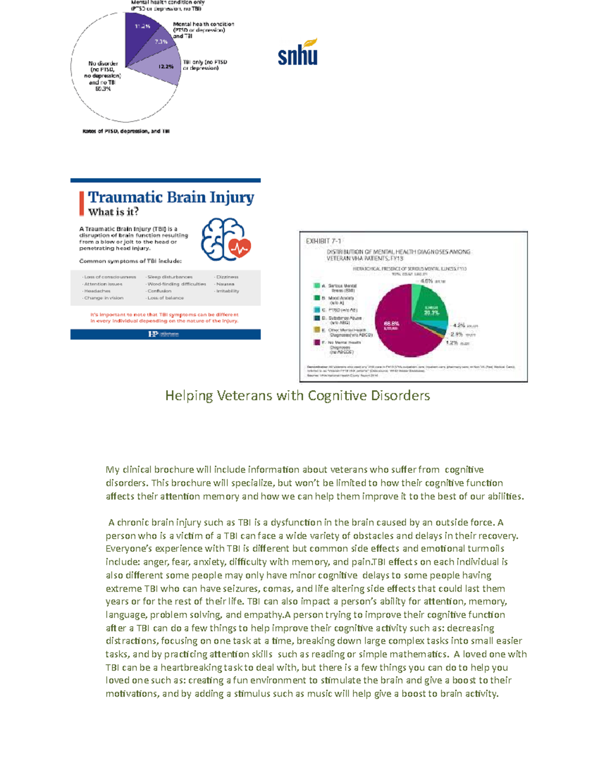 PSY 375 Project One Template copy - Helping Veterans with Cognitive ...