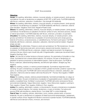 SOAP Respiratory - SOAP note example - SOAP: Lungs and Thorax Patient ...