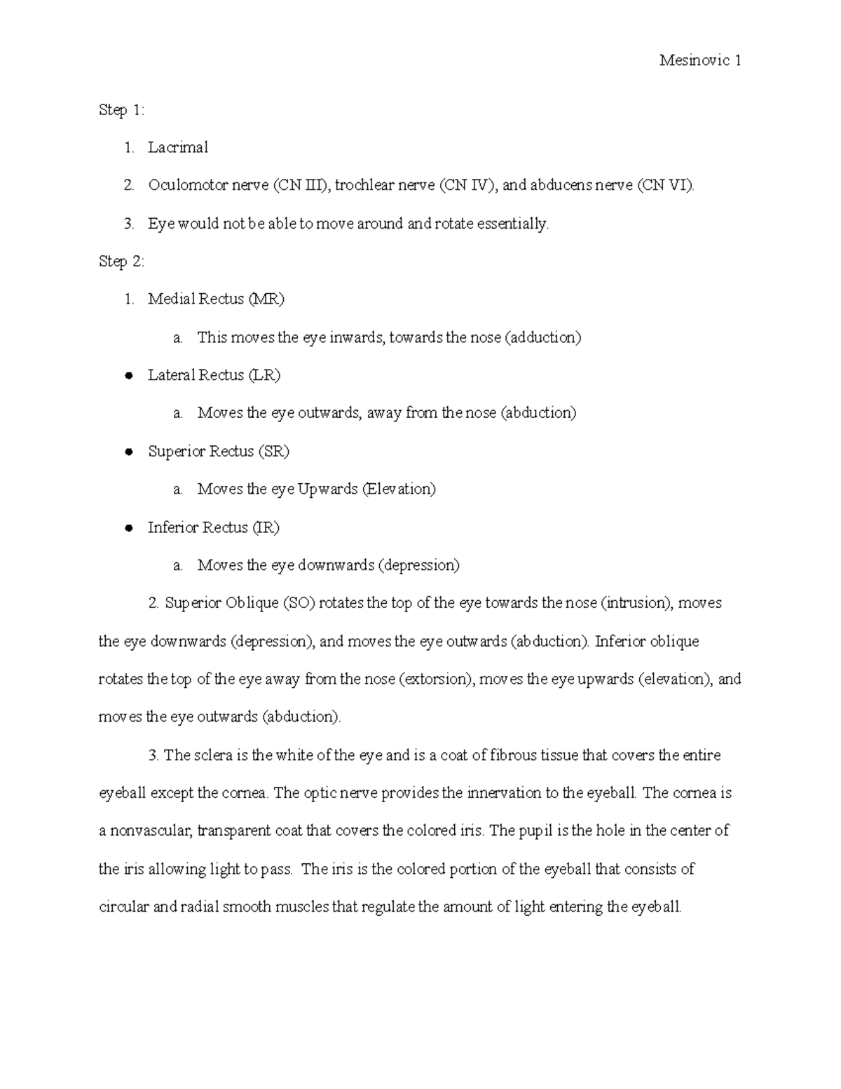 Explore the Eye - Lectures notes on the anatomy of the eye. - Mesinovic ...
