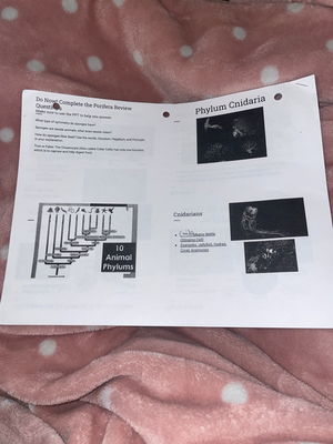 Ocean interactions worksheet - Ocean Interactions Worksheet Before you ...