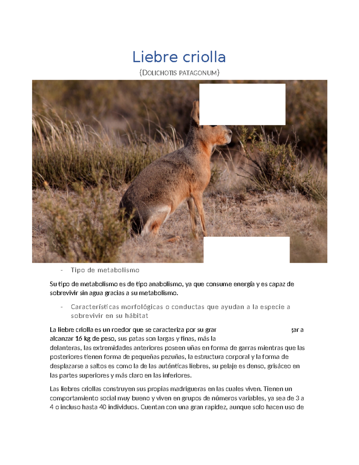 Ciencias de la vida Evidencia 1 - Liebre criolla (DOLICHOTIS PATAGONUM ...
