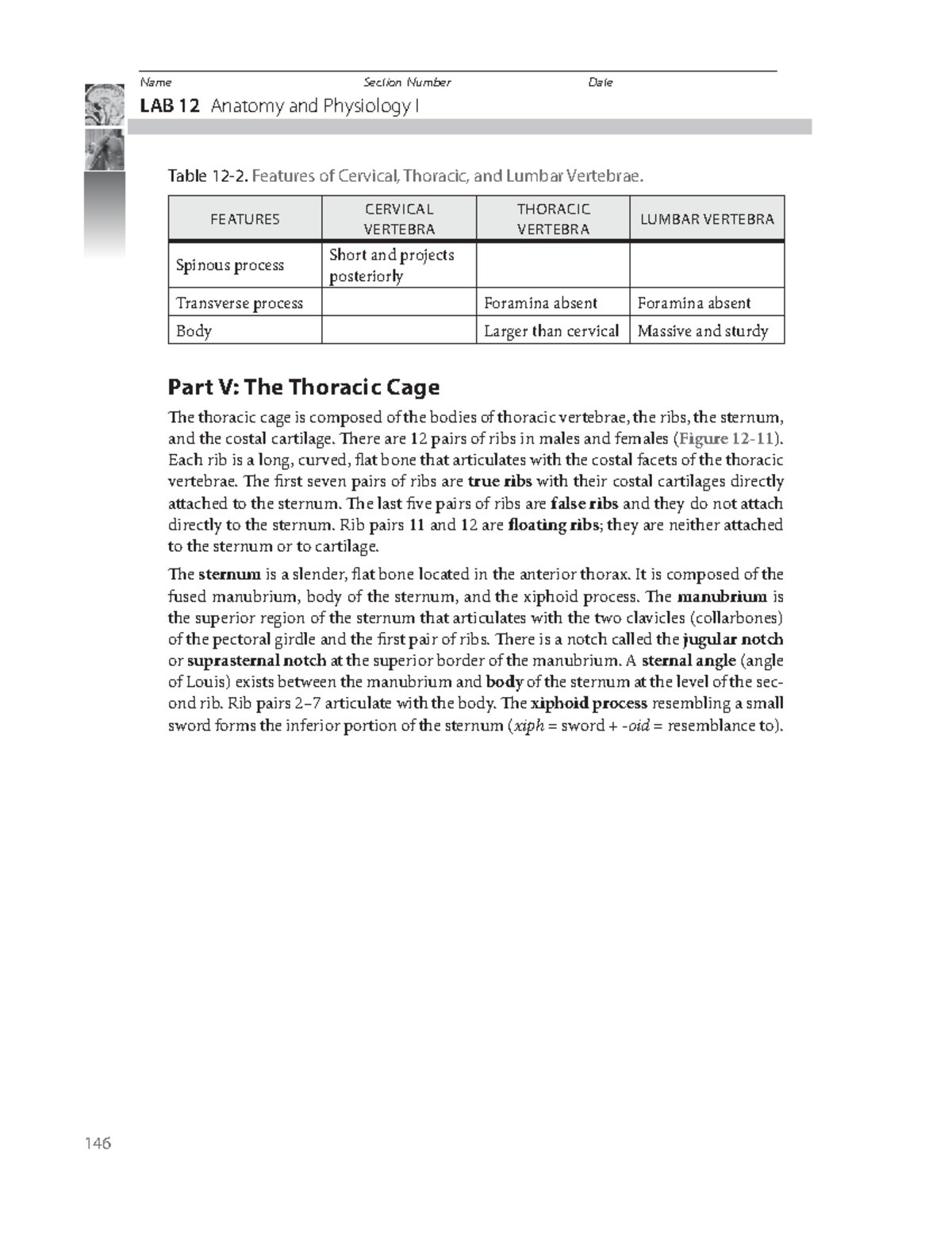 Lab12For A&P1 - These are the answers of this lab. - LAB 12 Anatomy and ...