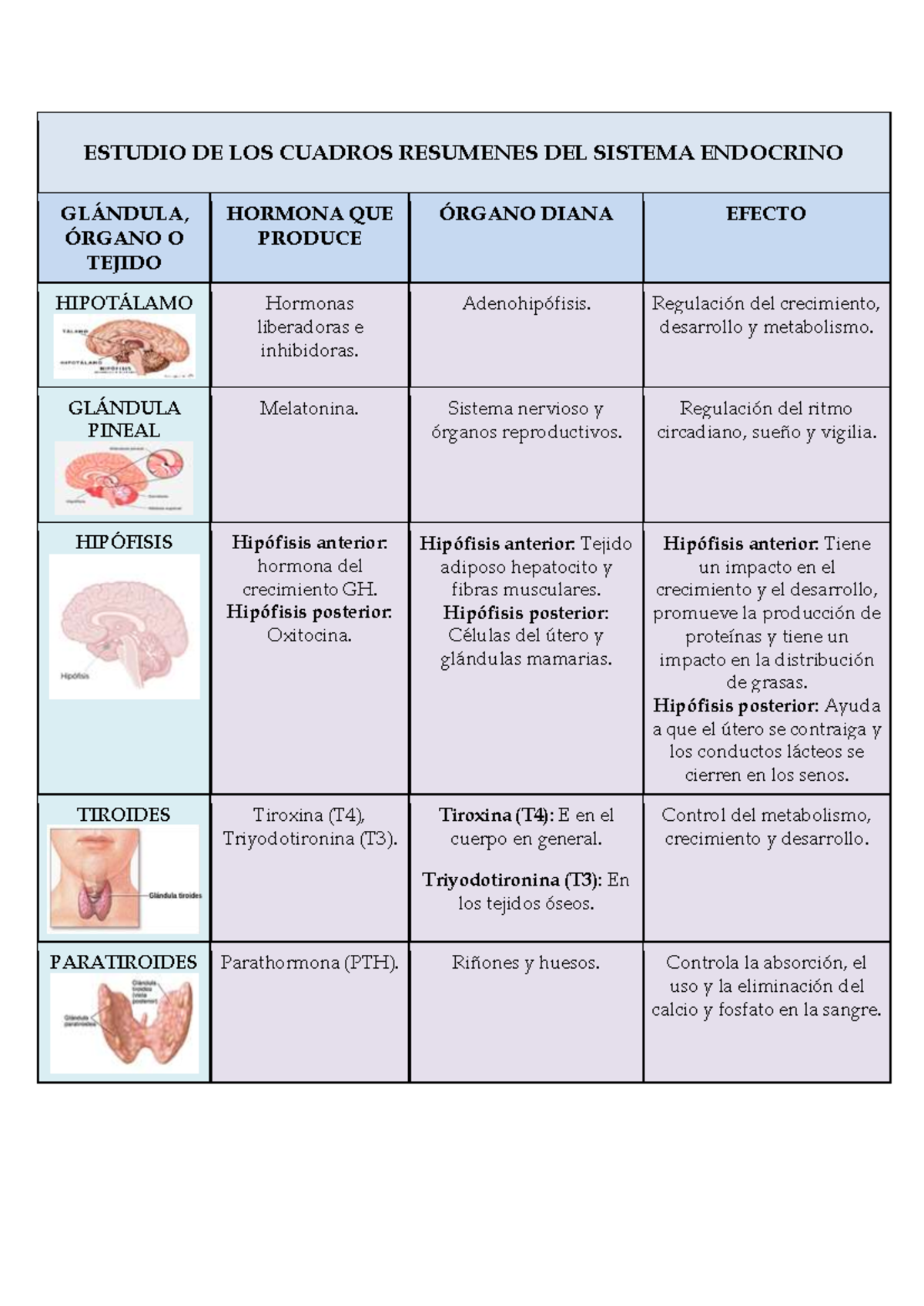 Sistema Endocrino - ESTUDIO DE LOS CUADROS RESUMENES DEL SISTEMA ENDOCRINO GLÁNDULA, ÓRGANO O ...