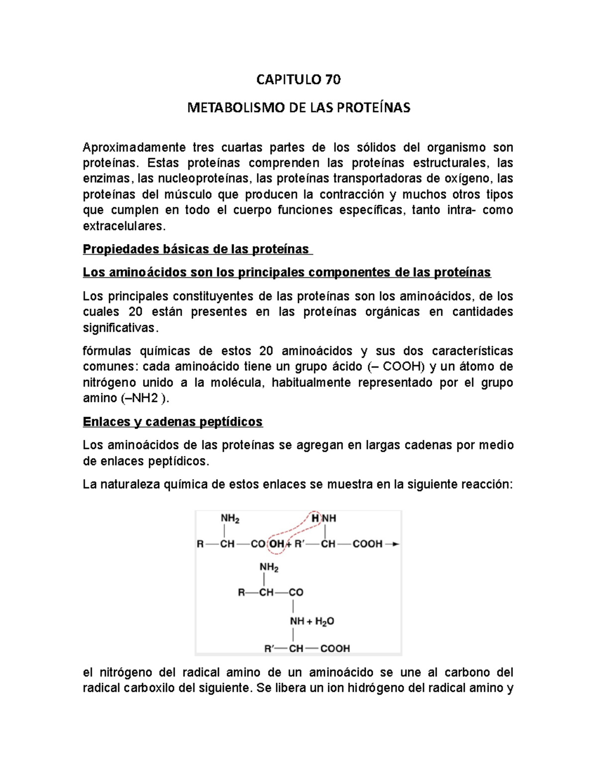 Capitulo 70 GUYTON - CAPITULO 70 METABOLISMO DE LAS PROTEÍNAS Aproximadamente tres cuartas ...