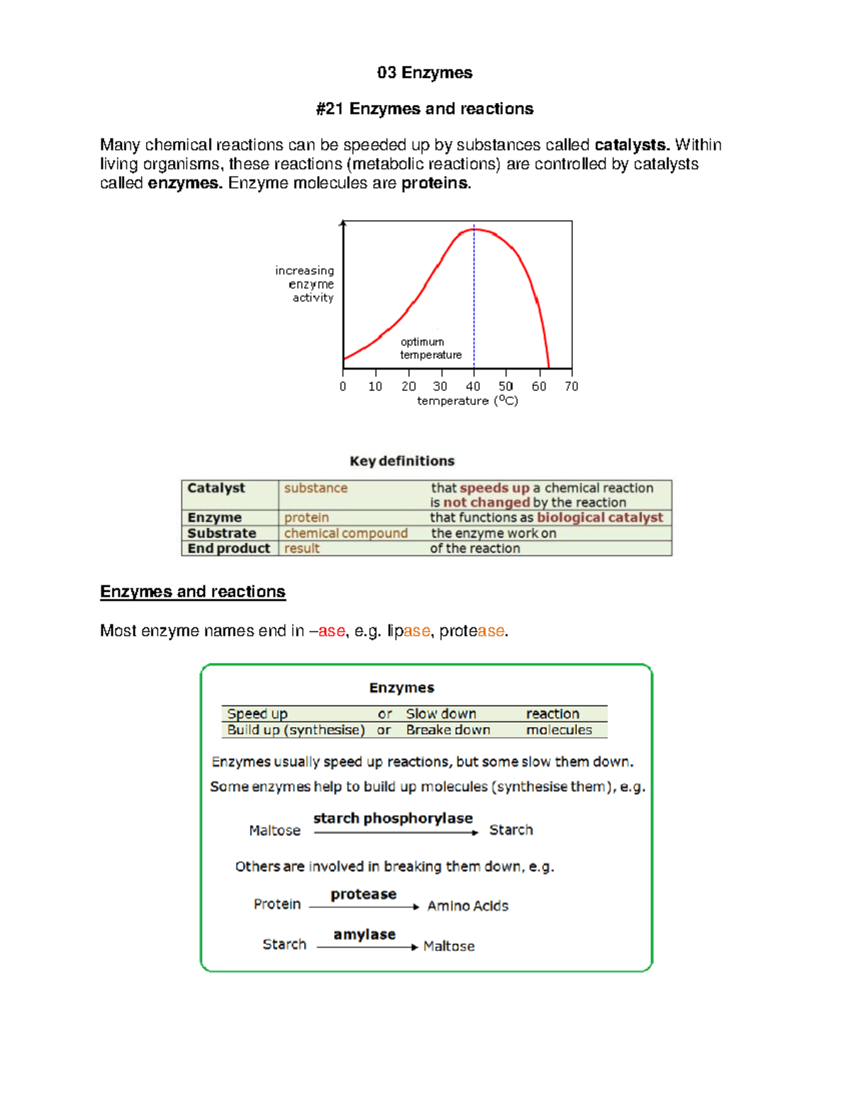 03 Enzymes Biology Notes Igcse 2014 - 03 Enzymes #21 Enzymes and ...