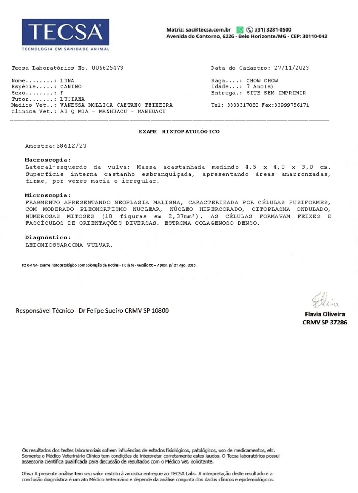 Tecsa - Luciana - LUNA - exame - Tecsa Laboratórios No. 006625473 Data ...