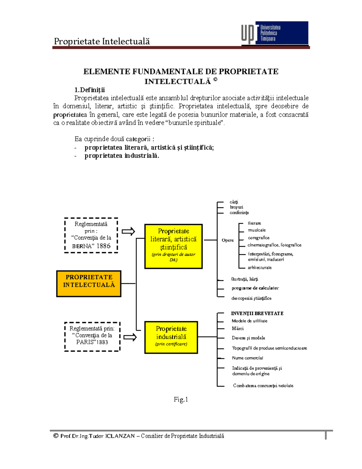 Elemente fundamentale de Proprietate Intelectuala-1 - ELEMENTE ...