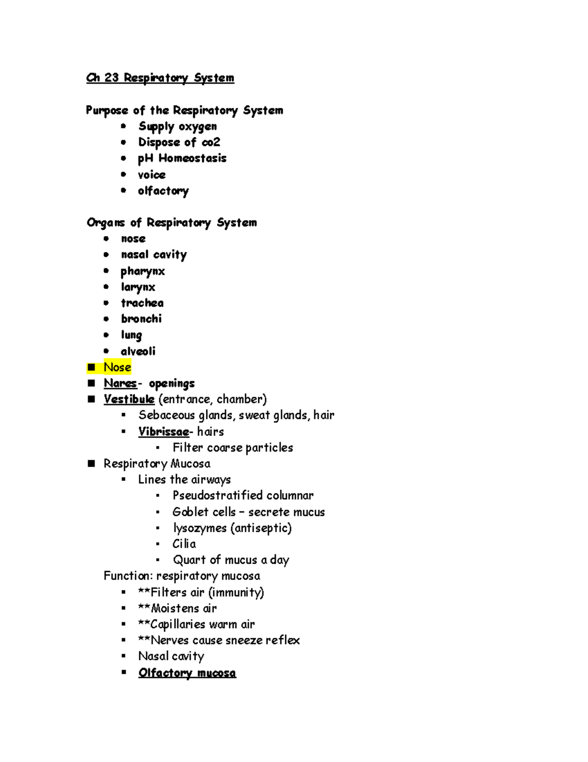Ch 23 Respiratory System Outline - Ch 23 Respiratory System Purpose of ...
