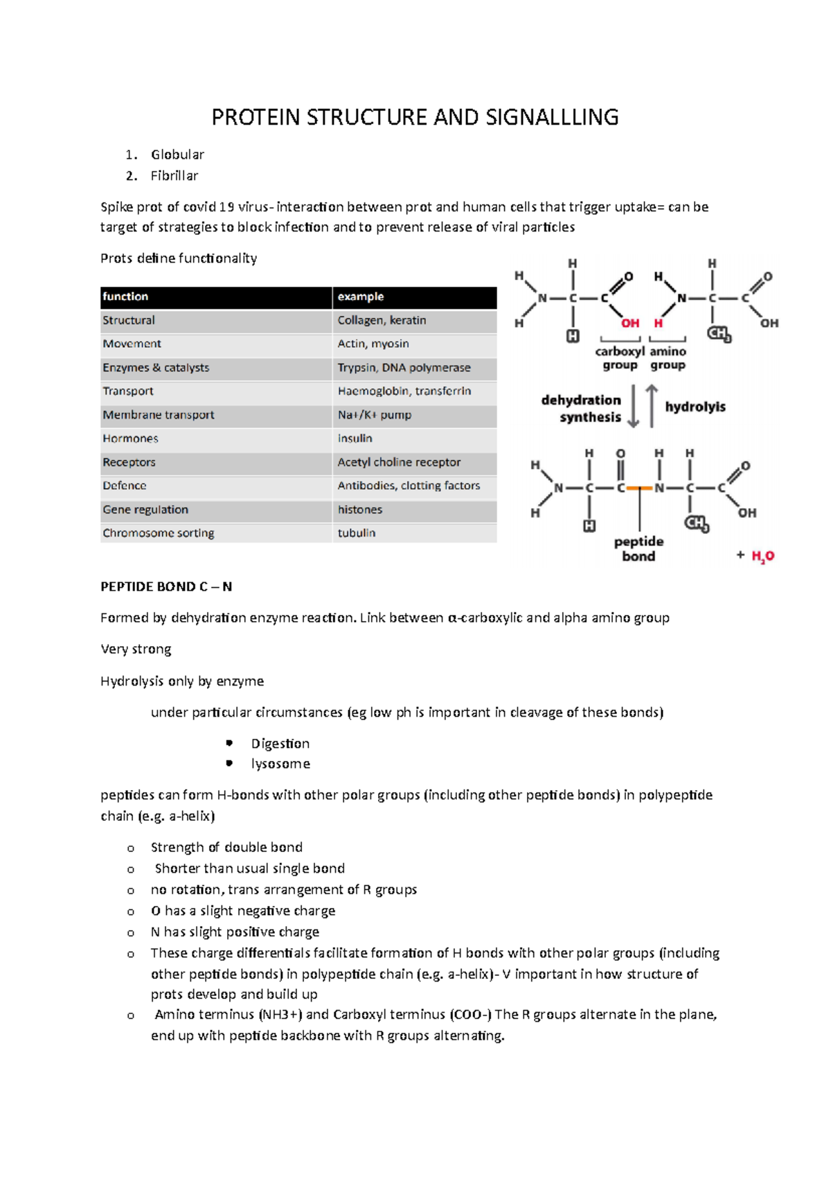Protein Structure AND Signallling - PROTEIN STRUCTURE AND SIGNALLLING ...