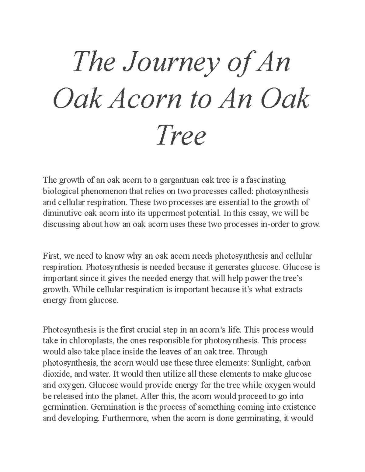 dont look at this - The Journey of An Oak Acorn to An Oak Tree The ...