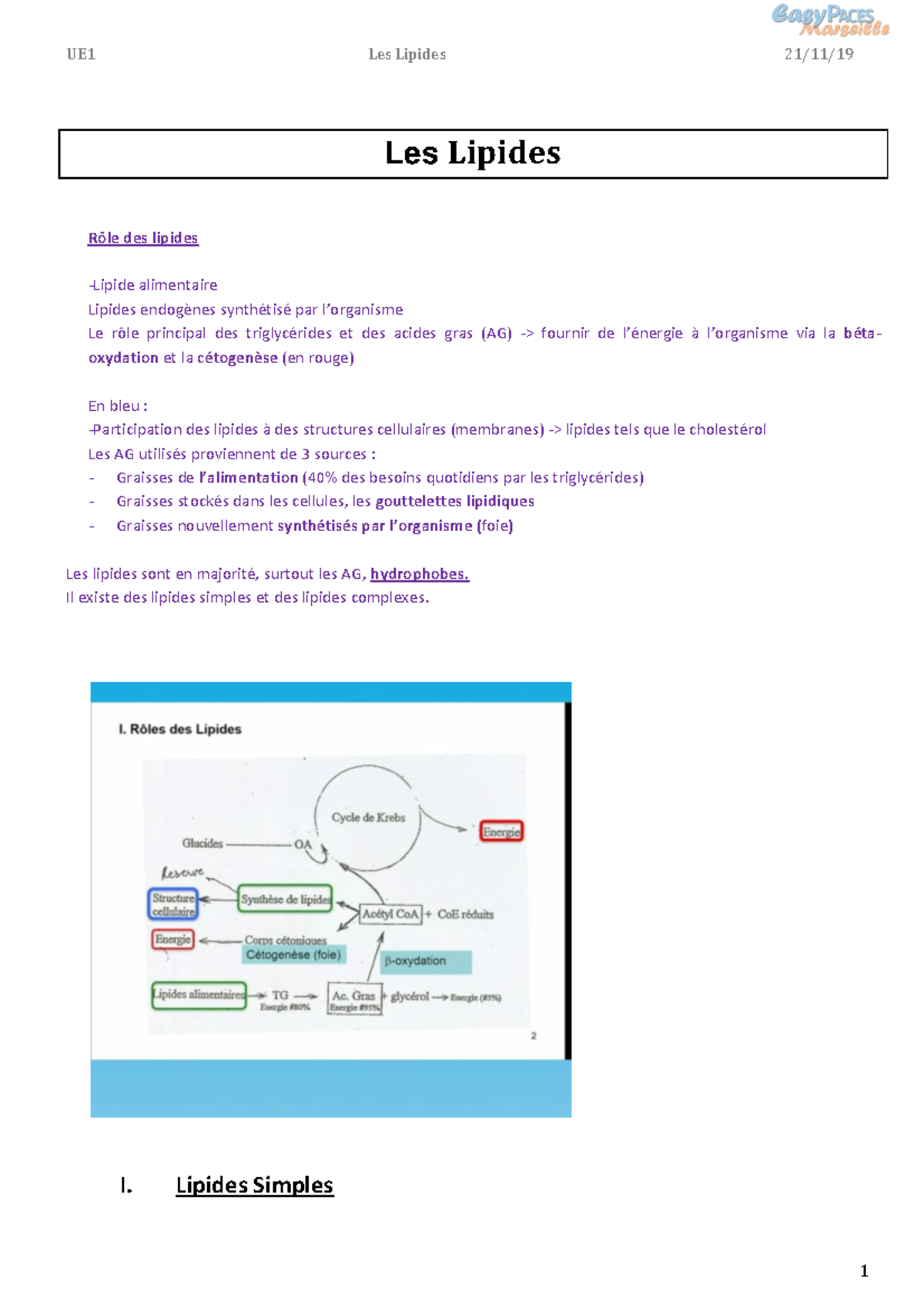 Les lipides cours complet - Les Lipides Rôle des lipides Lipide alimentaire Lipides endogènes ...