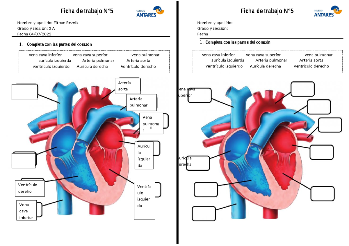Ficah 5- corazón - corazon corazoncito - 1. Completa con las partes del ...
