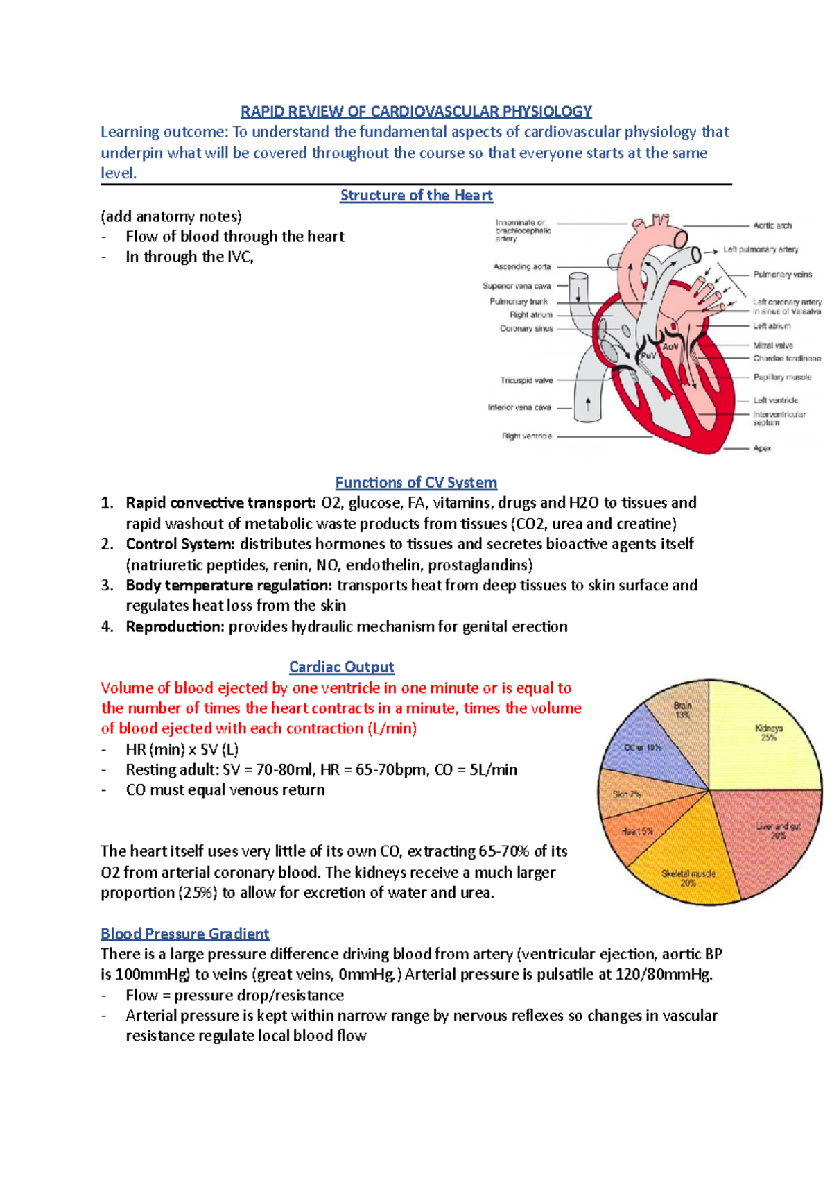 Rapid Review of Cardiovascular Physiology - Studocu