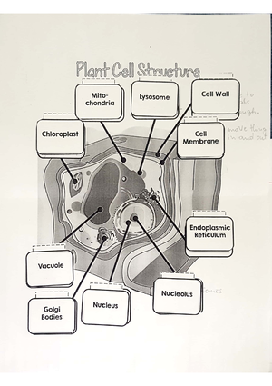 cell structures notes - BIO 265 - Studocu