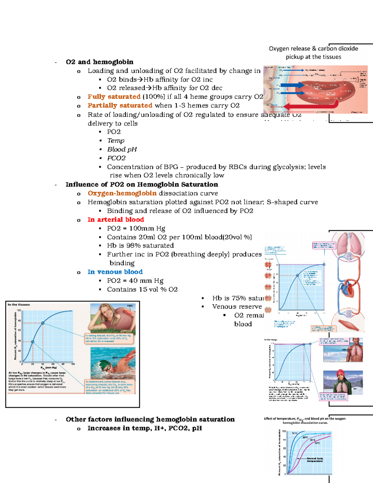 Oxygen-Hemoglobin Dissociation Curve - O2 and hemoglobin o Loading and ...