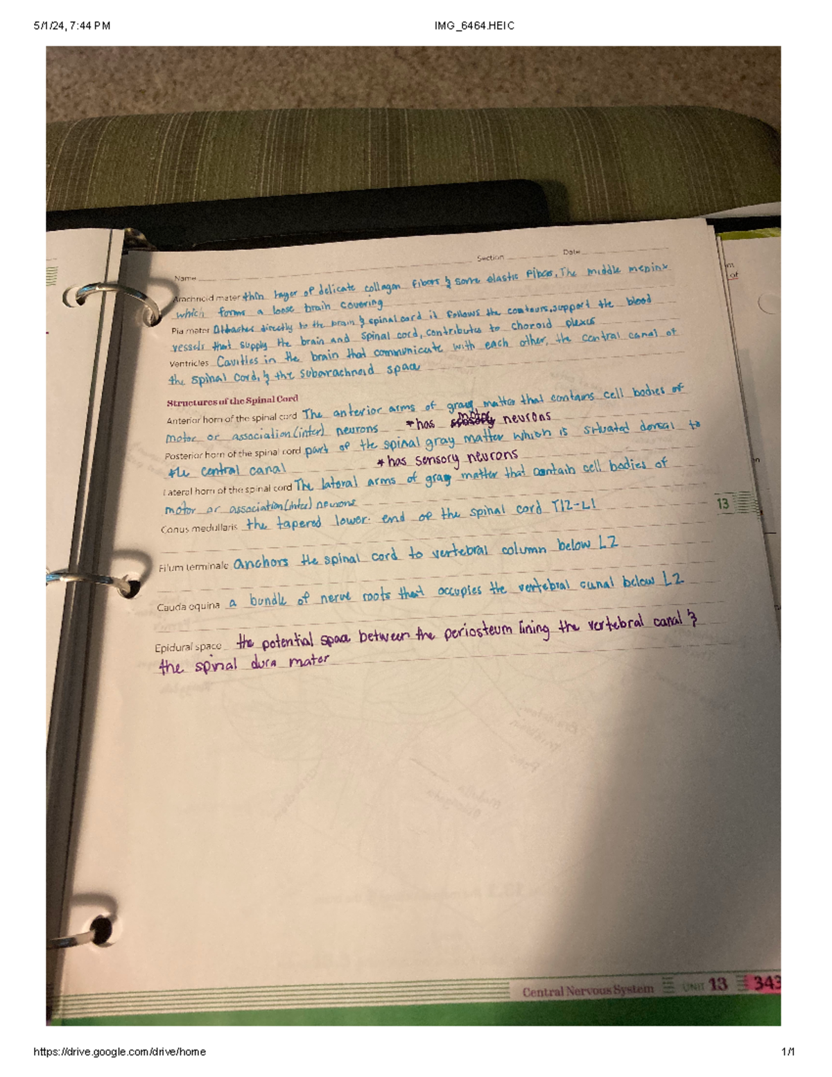 IMG 6464 - notes - APHY101 - 5/1/24, 7:44 PM IMG_6464 drive.google ...