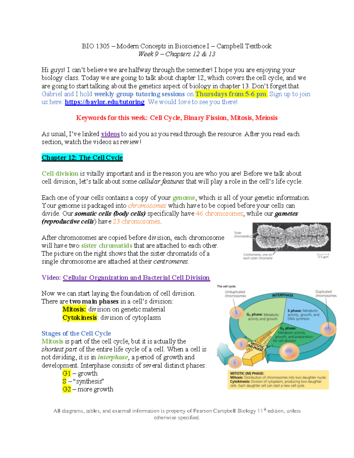 Biology I (Campbell) Week 9 - All diagrams, tables, and external ...