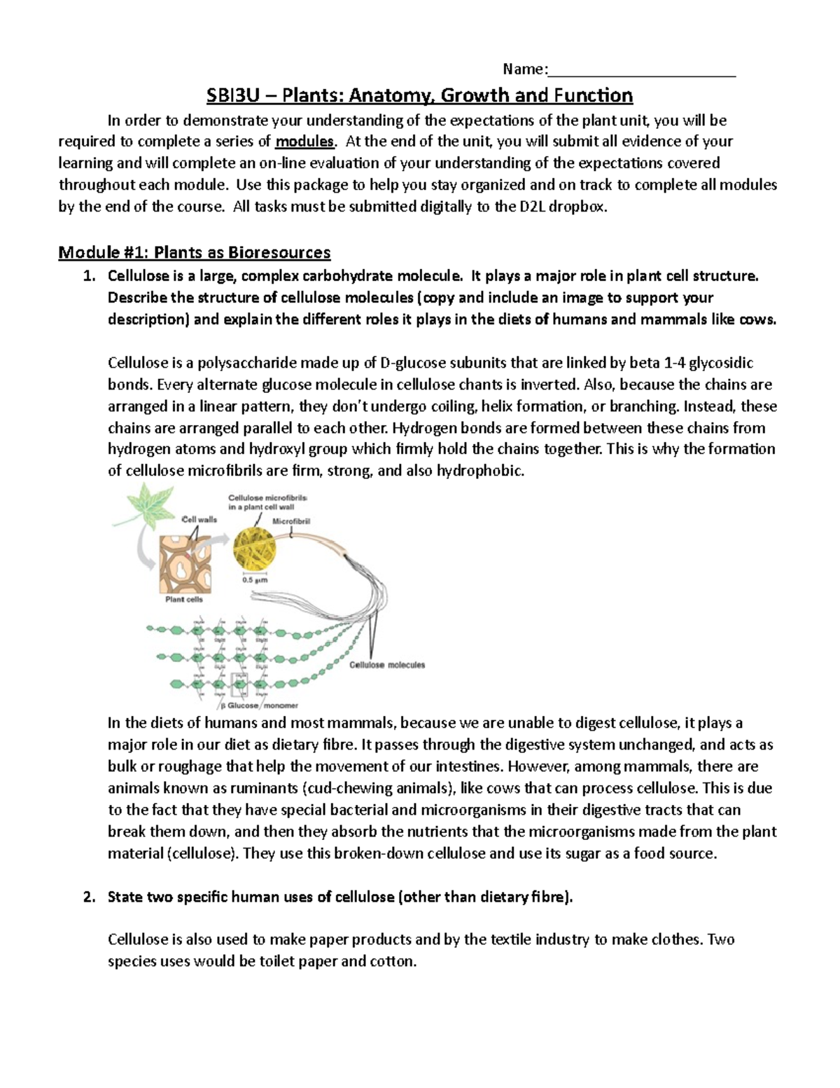 Plant Unit Task - Name:_______________________ SBI3U – Plants: Anatomy ...