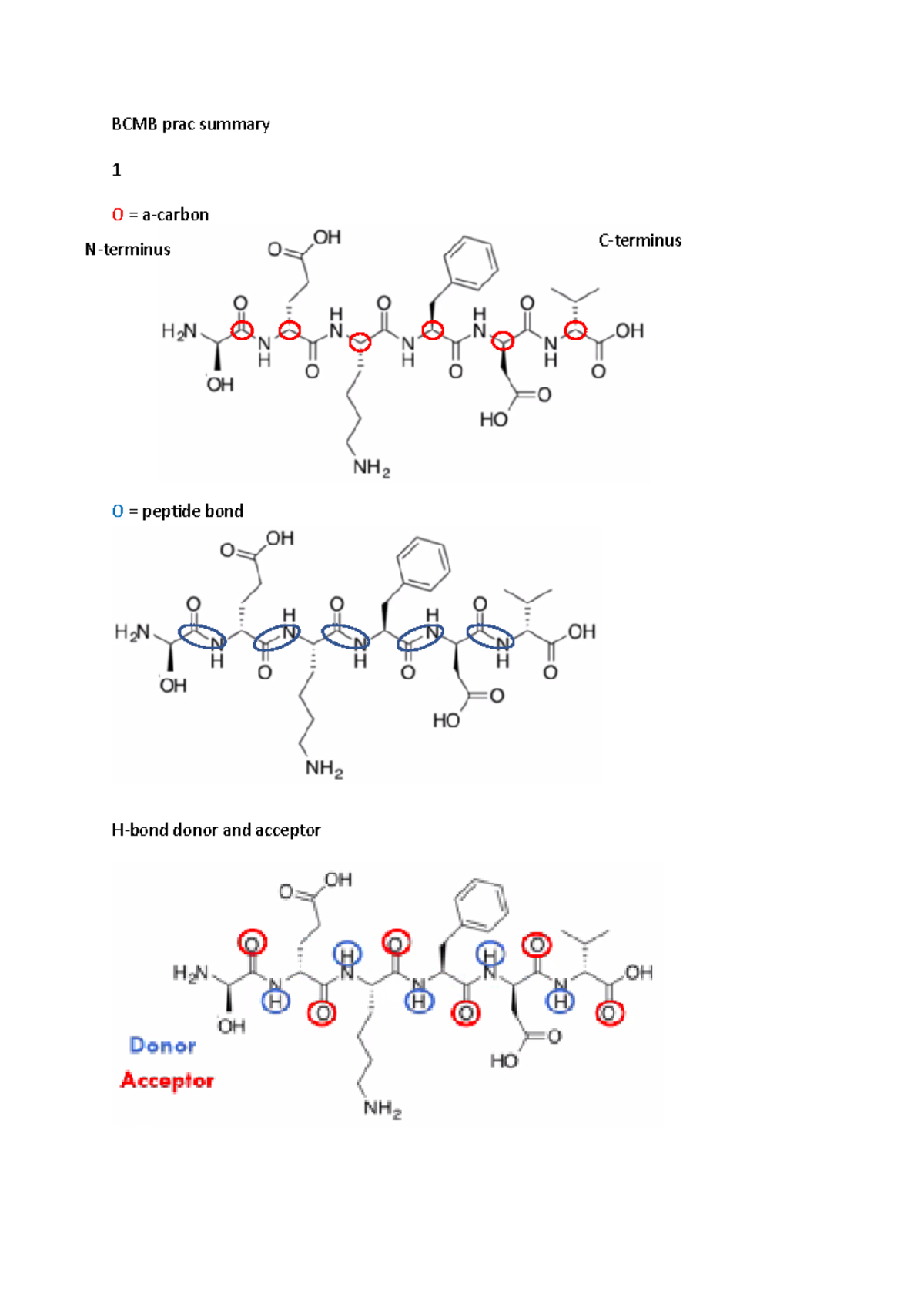 BCMB-prac-summary - Practical summaries - BCMB prac summary 1 O = a ...