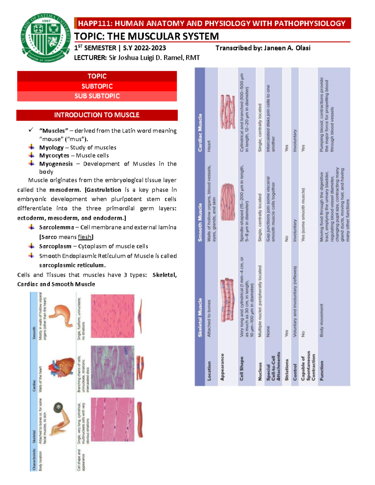 HAPP111 Lesson 1 THE Muscular System - TOPIC: THE MUSCULAR SYSTEM 1 ST ...