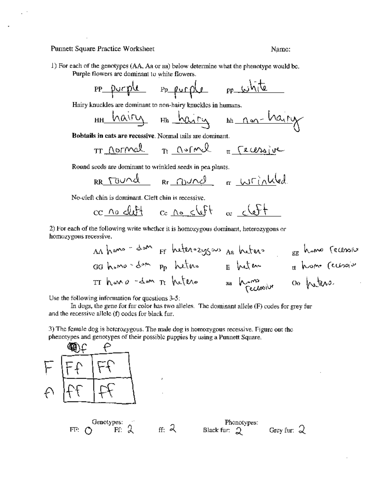 Punnett practice 2 answer key - Foundation in Science - Studocu