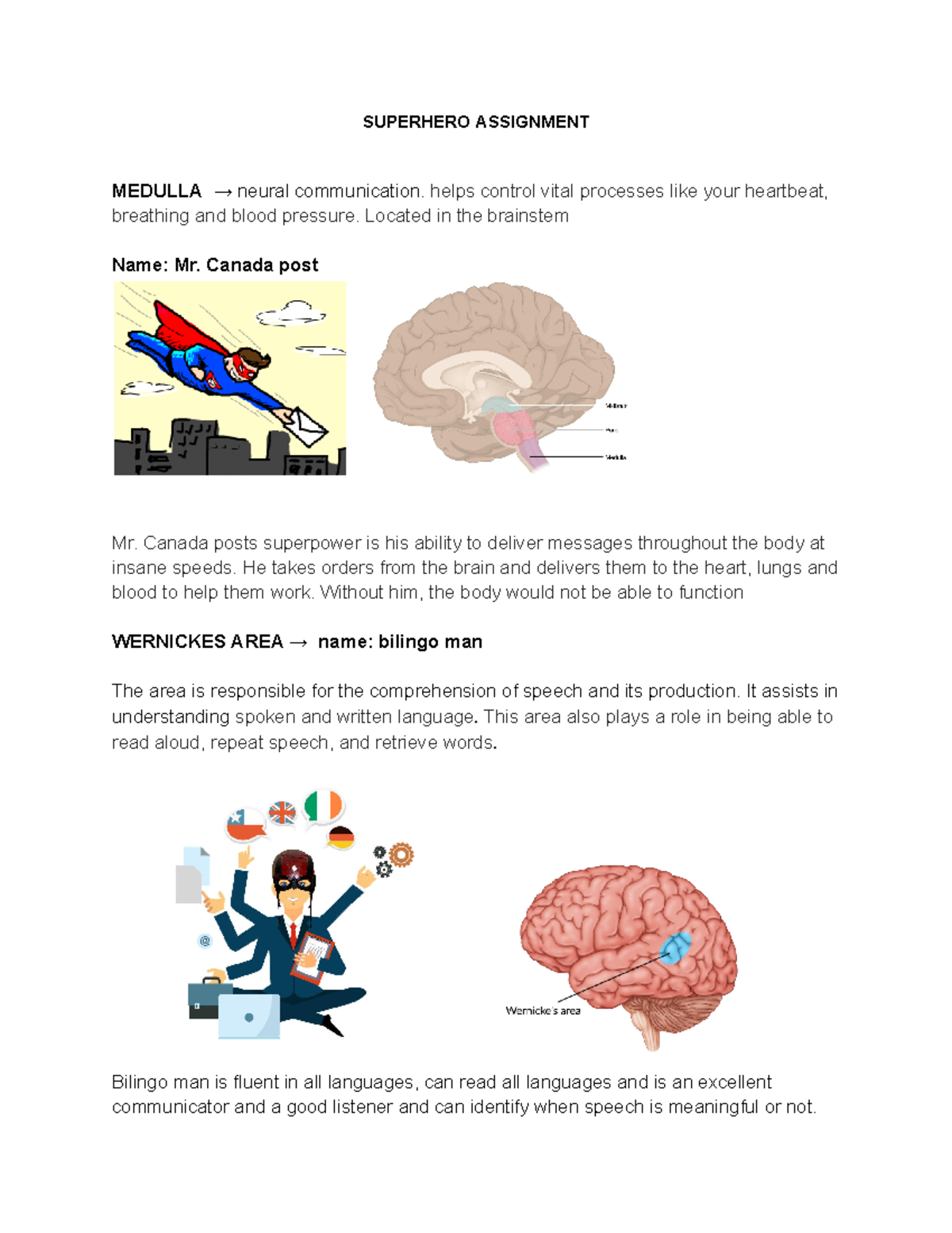 Superhero Assignment - SUPERHERO ASSIGNMENT MEDULLA → neural ...