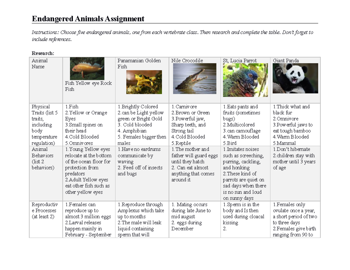 06 08 assignment template - Endangered Animals Assignment Instructions ...