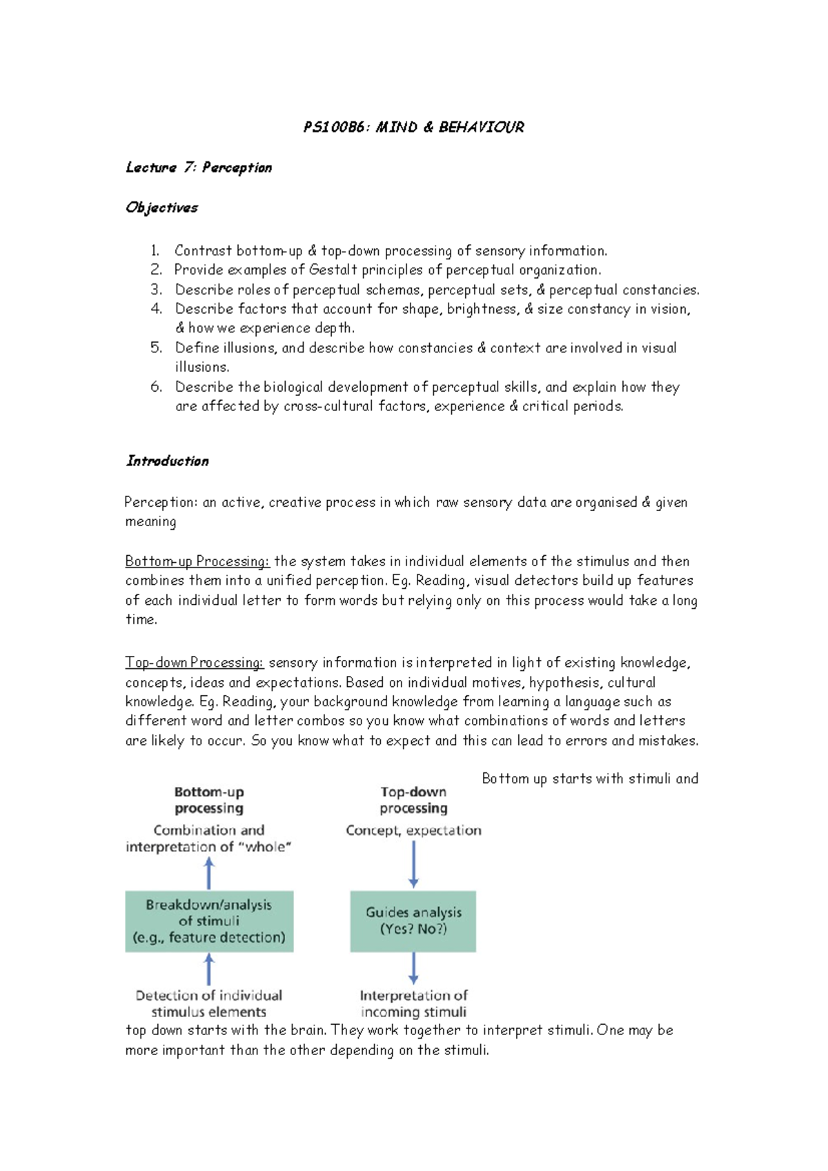 Sensation Perception III - PS10086: MIND & BEHAVIOUR Lecture 7: Perception Objectives - Studocu