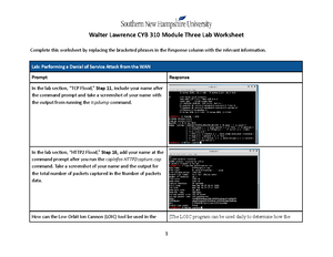 CYB 310 Module Two Lab Worksheet - CYB 310 Module Two Lab Worksheet ...