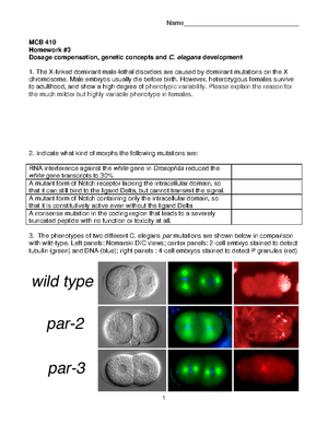 MCB 410 Exam 1 cheat sheet - Embryologists debated embryonic ...