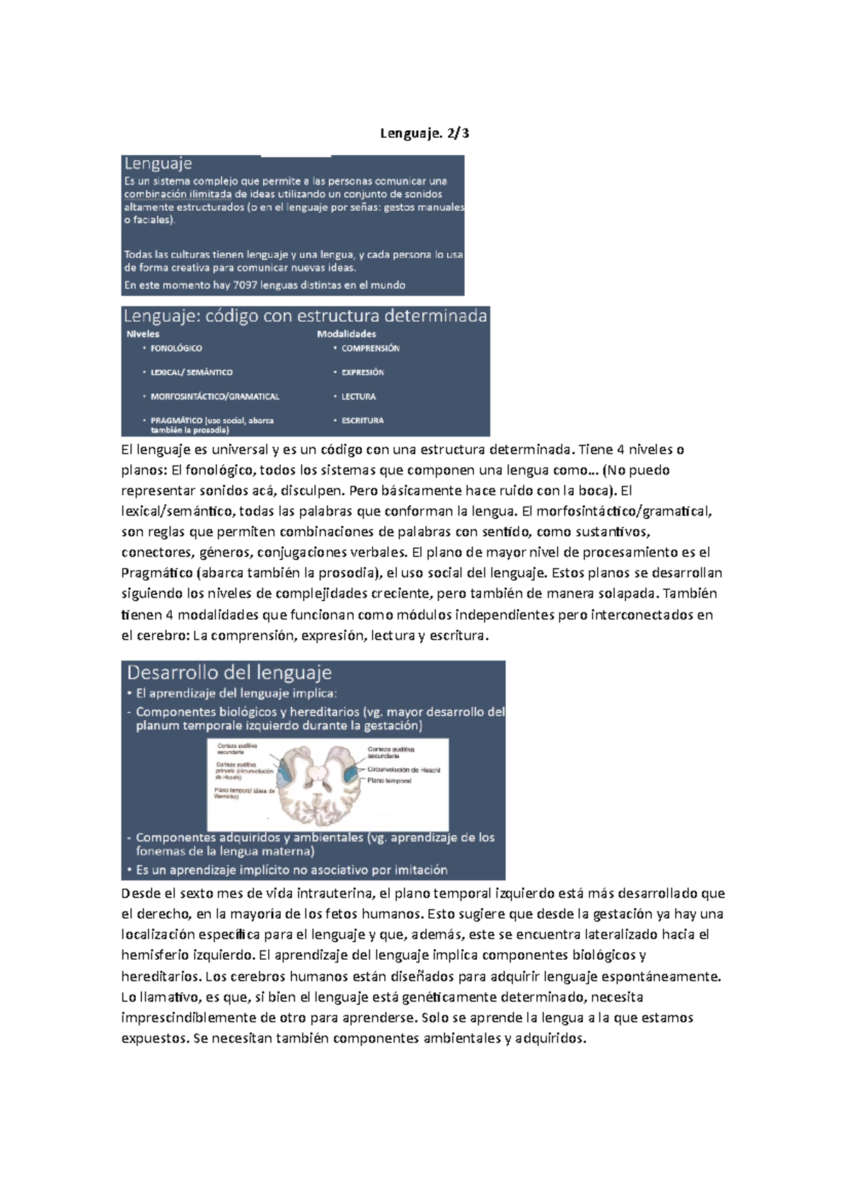 Lenguaje B - Lenguaje. 2/ El lenguaje es universal y es un código con ...