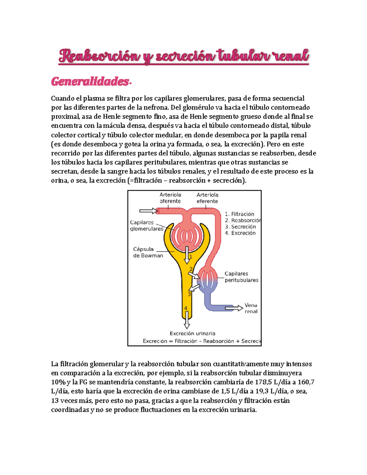 Reabsorción y secreción tubular renal - Fisiologia - Studocu