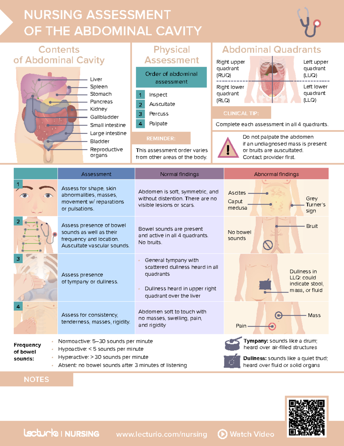 Nursing CS Nursing-assessment-of-the-abdominal-cavity 03 - lecturio ...