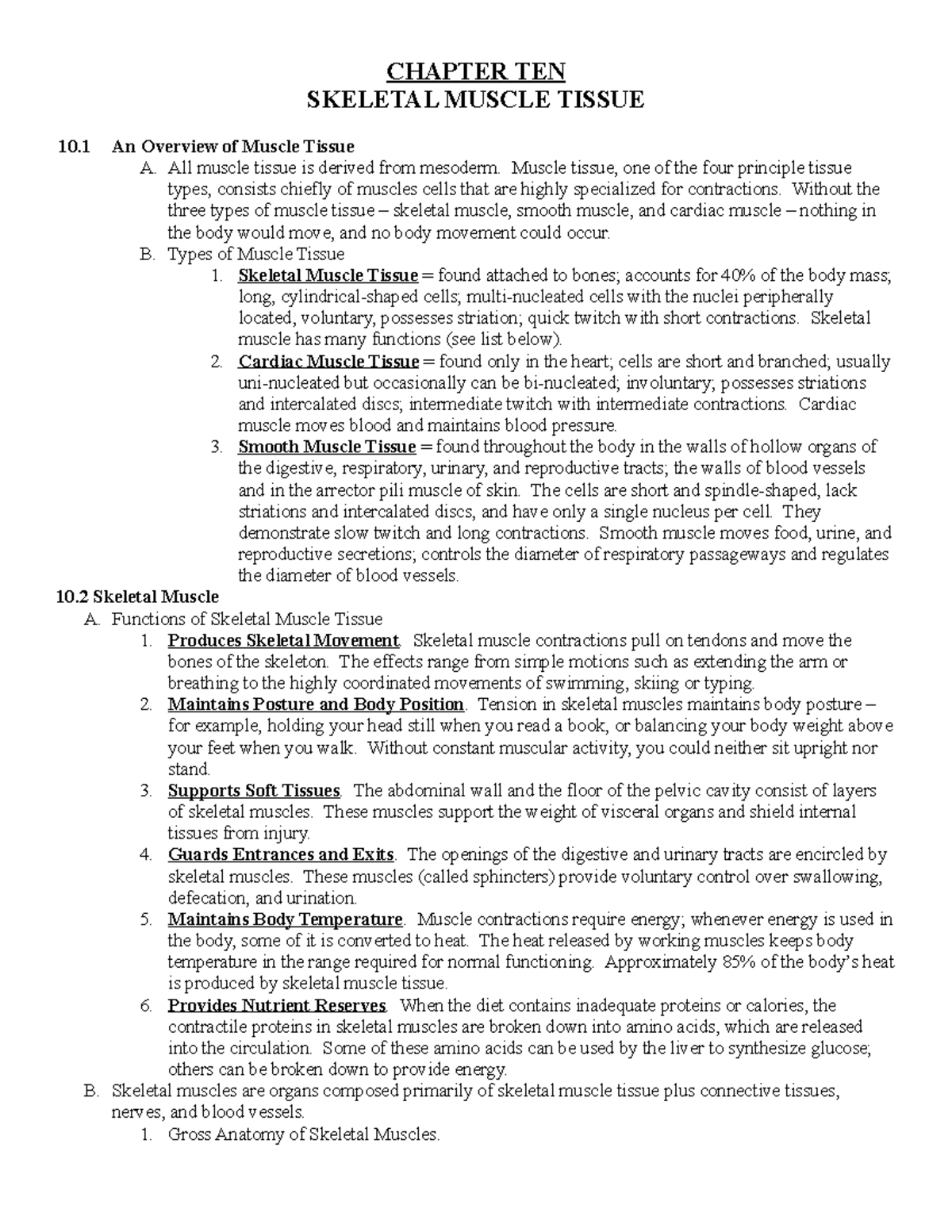 Chapter 10 Outline - CHAPTER TEN SKELETAL MUSCLE TISSUE 10 An Overview ...