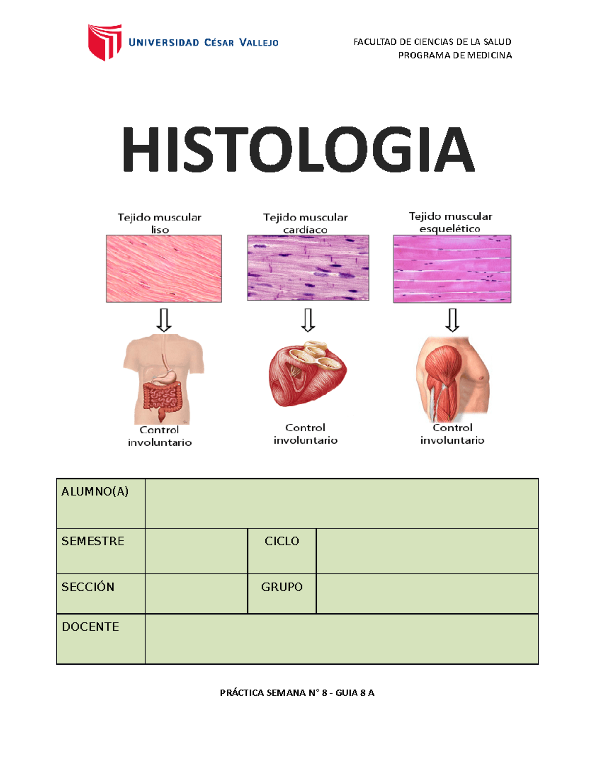 GUIA SEM 8 - GUIA 8 A - medicina - PROGRAMA DE MEDICINA HISTOLOGIA ALUMNO(A) SEMESTRE CICLO ...