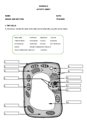 Environmantal Science 7- Activity Sheet 1 - ENVIRONMANTAL SCIENCE 7 ...