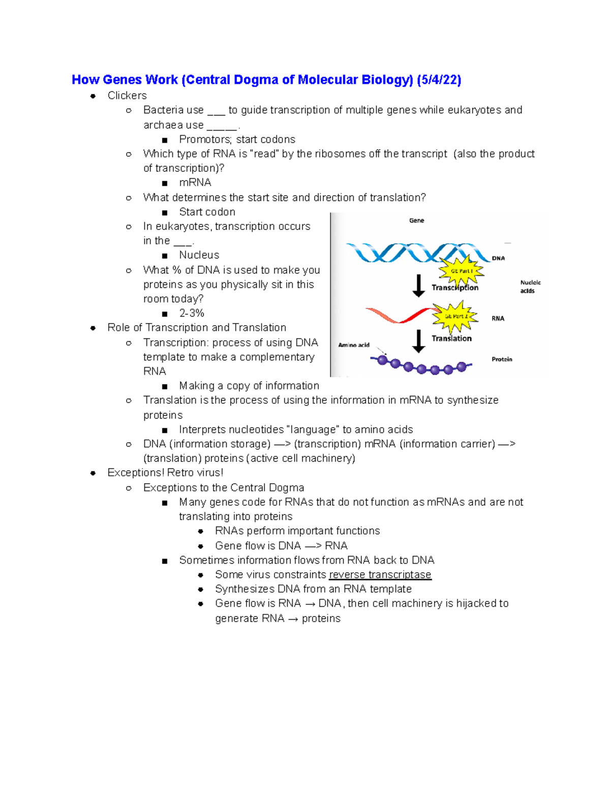BIOL160 centraldogmaofmolecularbiology - How Genes Work (Central Dogma ...