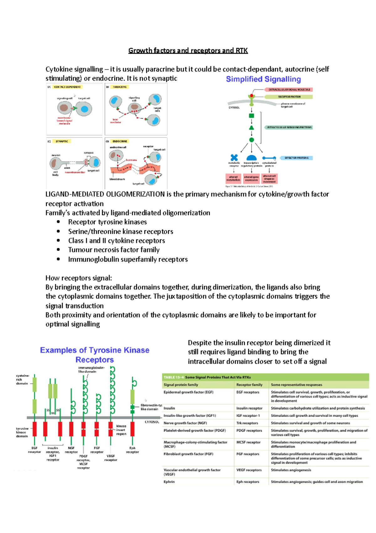 Growth factors and receptors and RTK - Growth factors and receptors and ...