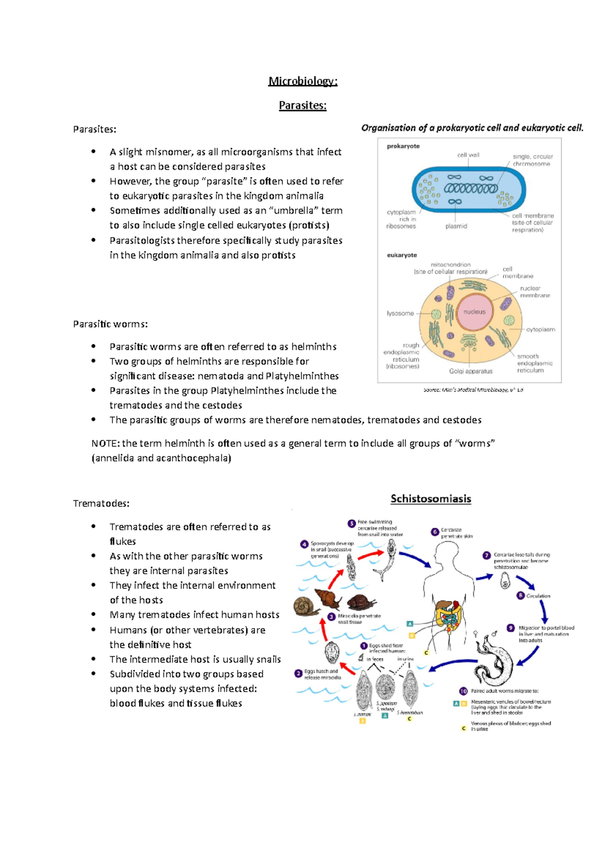 Lecture 6 - Parasites - Microbiology: Parasites: Parasites: A slight ...