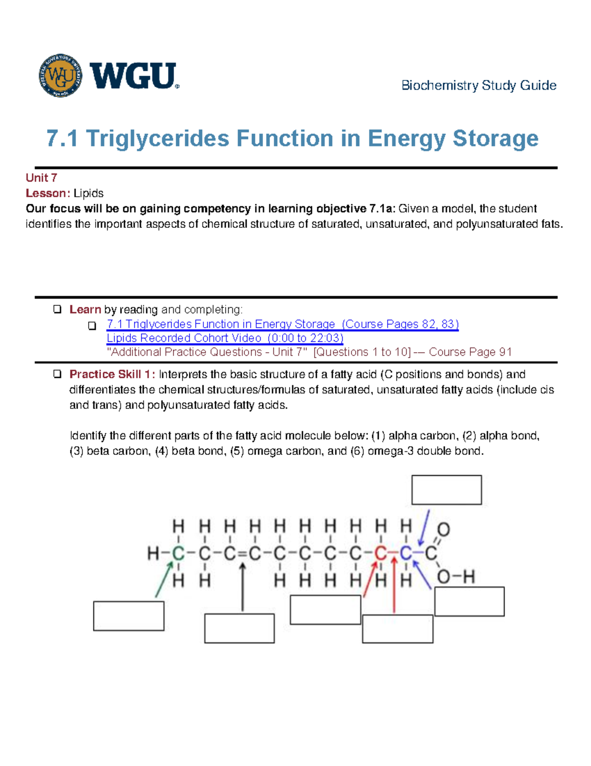 71 Triglycerides Function in Energy Storage - Deprecated API usage: The ...