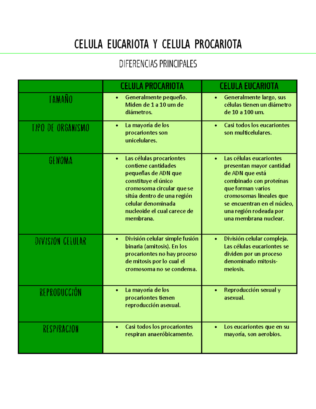 Diferencias Celula Eucariota Y Celula Procariota - CELULA EUCARIOTA Y CELULA PROCARIOTA - Studocu