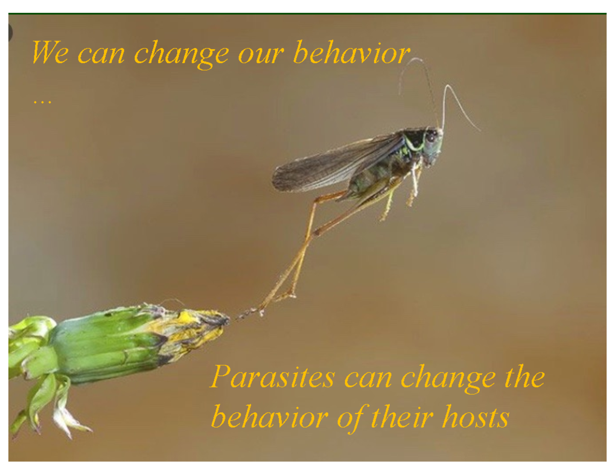 Lecture 13 Parasites & Competition - We can change our behavior ...