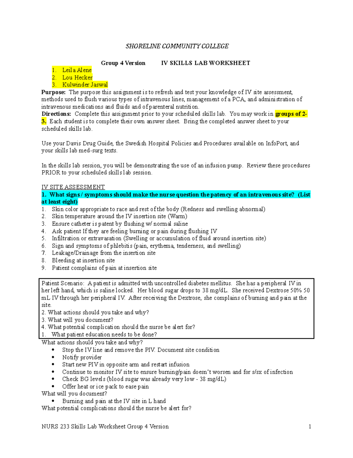 IV Site Assessment Flushing IV Lines PCA Management and Medication ...